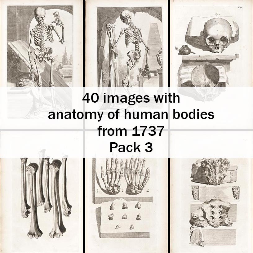 40 Images With Anatomy of Human Bodies From 1737 With - Etsy