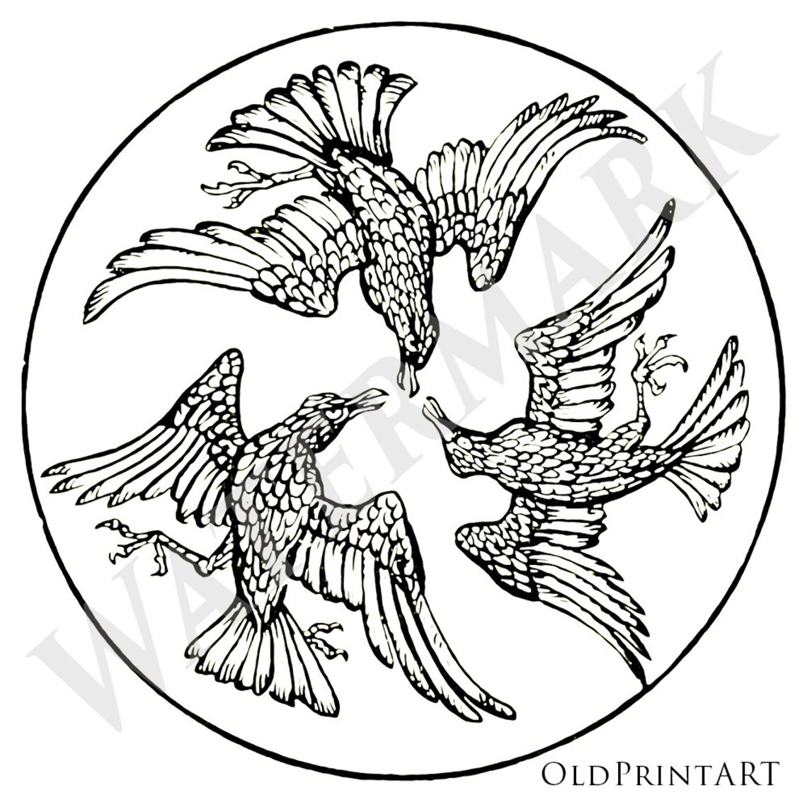 Three Crows Circling Vintage Crow Clipart Stamp Logo - Etsy