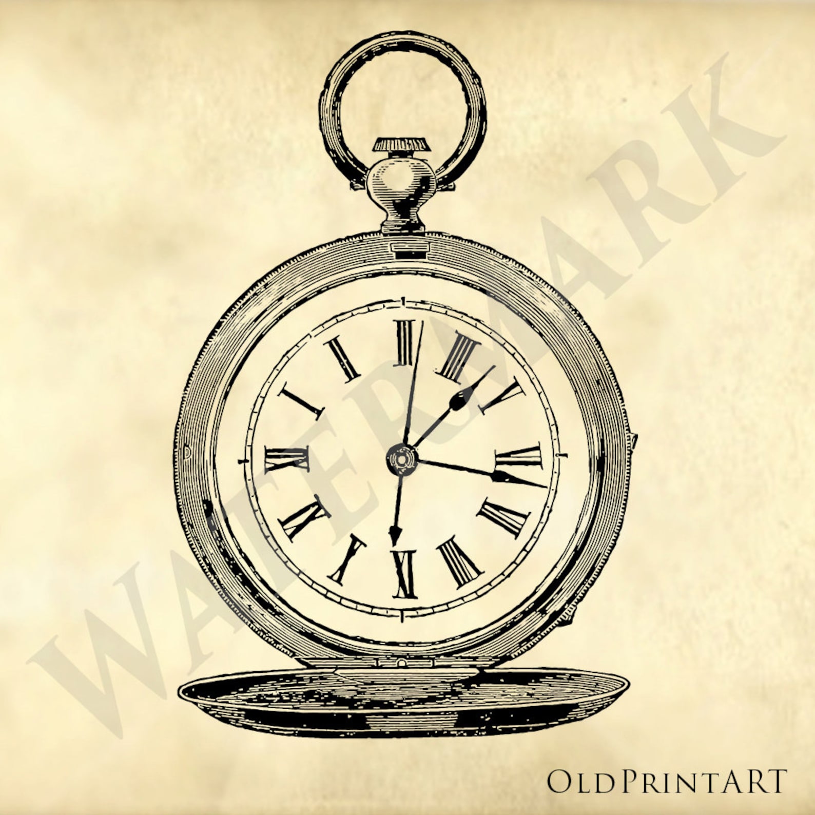 Old Pocket Watch From 1878 Vintage Store Catalog Illustration - Etsy