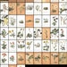 Collection of a 100 Alpine Tundra Plant/flower Images Vintage Foral ...