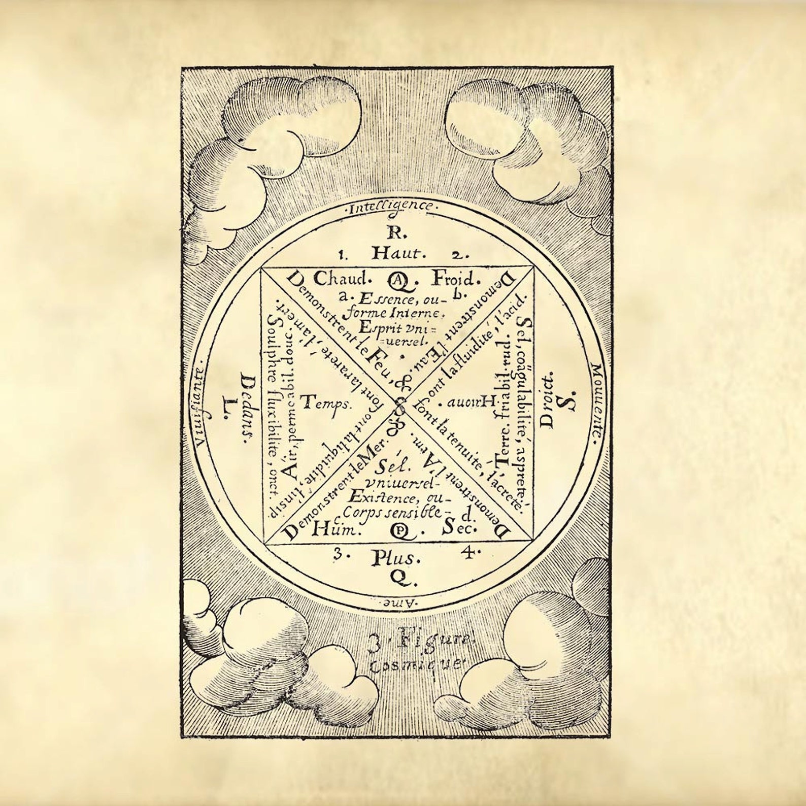 Cosmic Illustration From Old Ancient Alchemy Book Symbols - Etsy