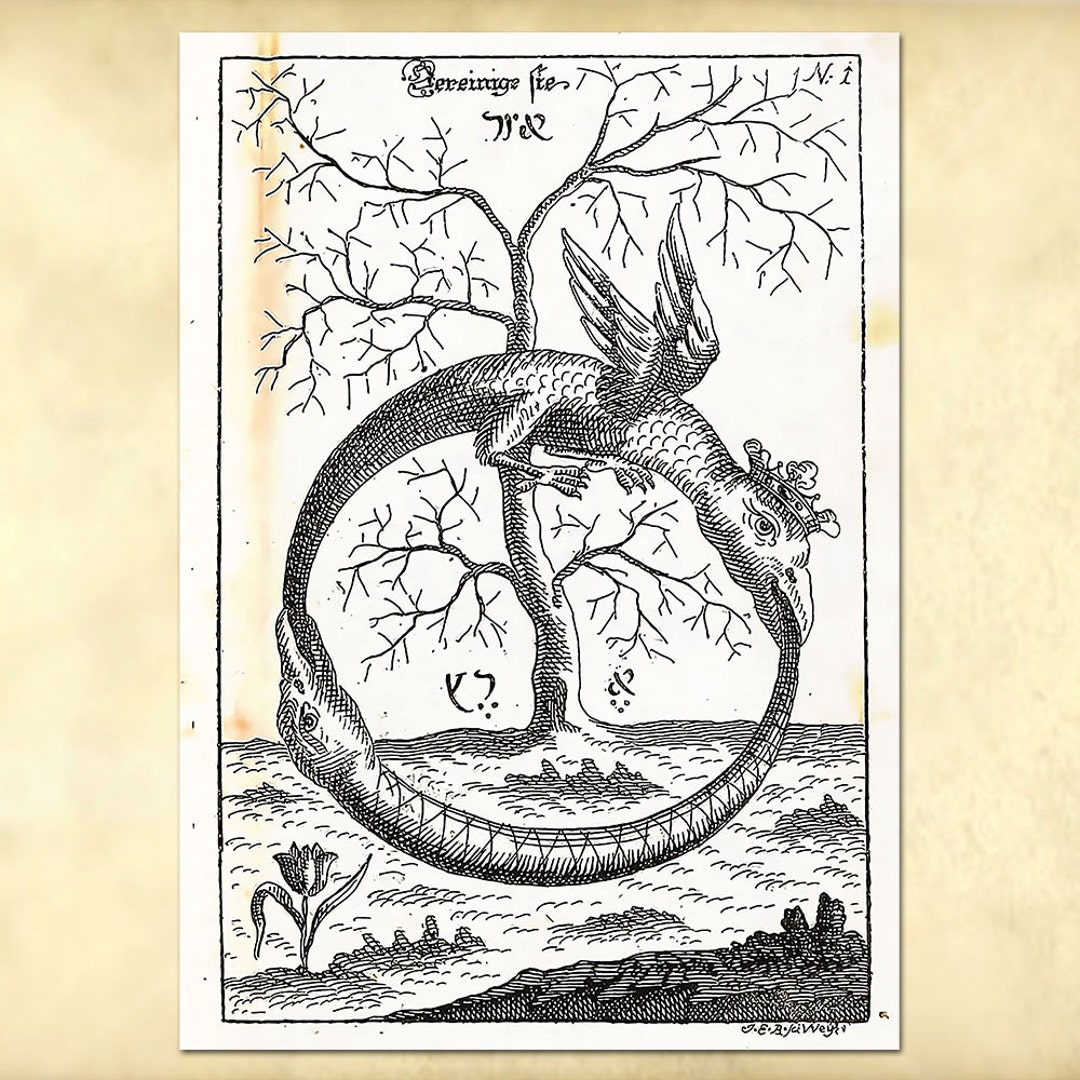 Ouroboros Dragons Illustration From Old Ancient Alchemy Book - Symbols ...