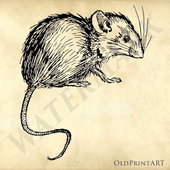 Fairy tale Mouse from 1916 Imágenes prediseñadas para - Etsy España
