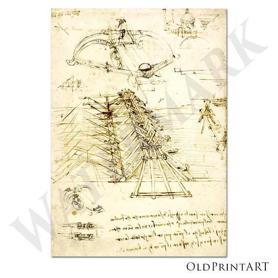 Leonardo Da Vinci Vitruvianischer Mann Hochauflösend