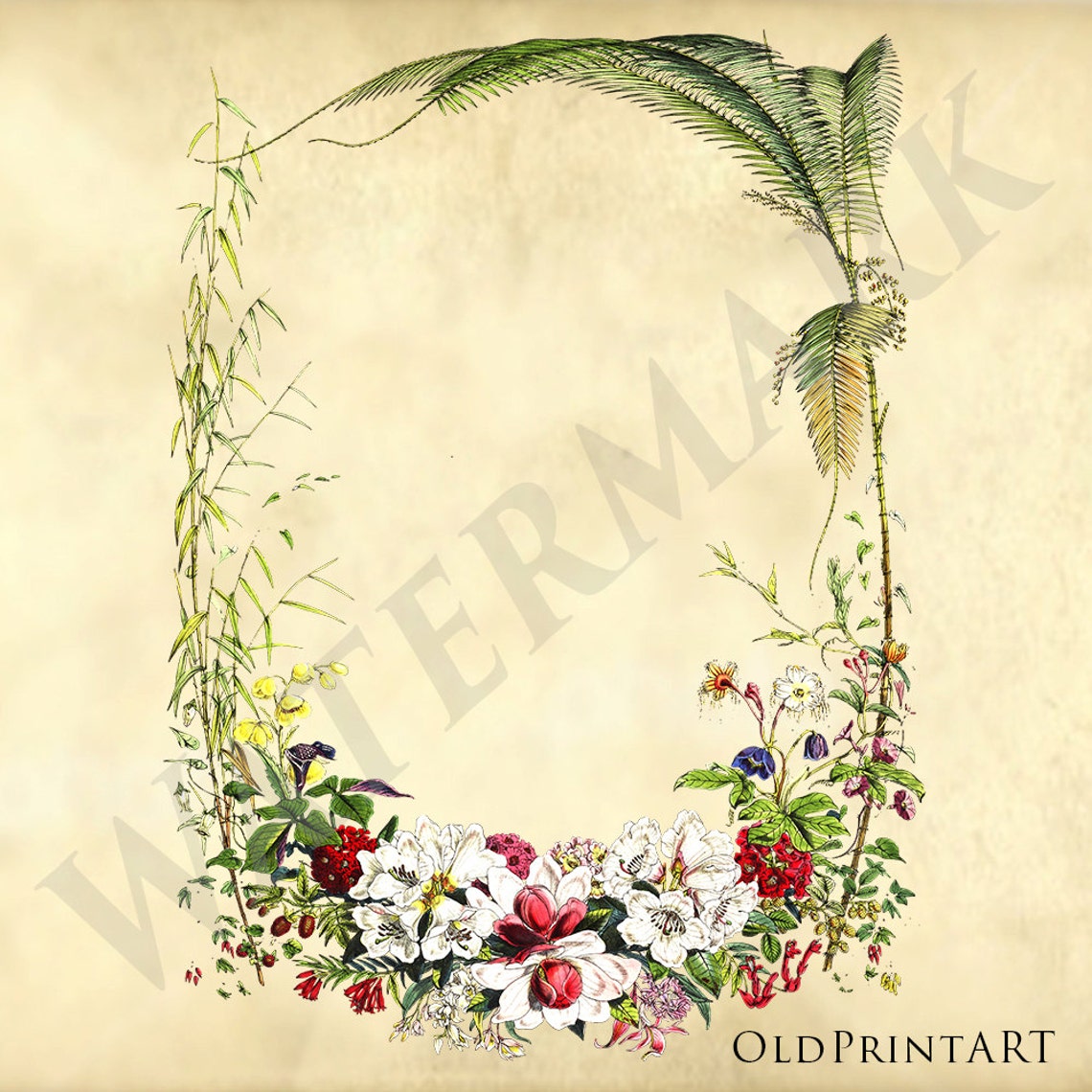 Elegant and Highly Detailed Colored Flower Frame Floral | Etsy