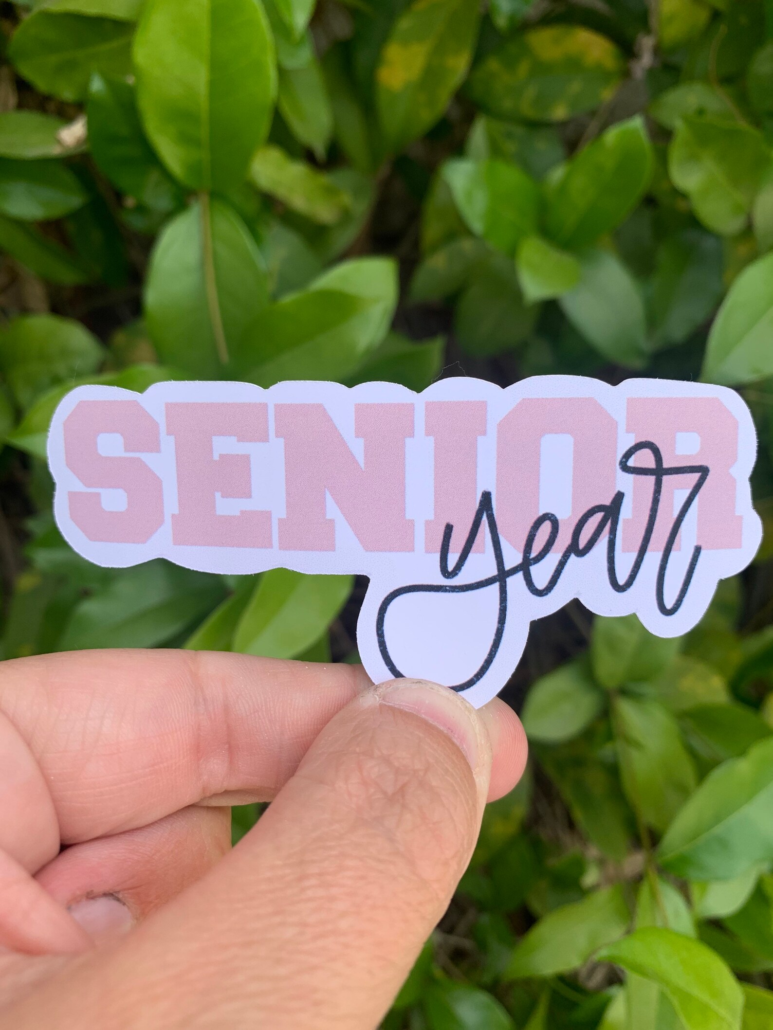 HIGH SCHOOL Years Sticker Pack - Etsy