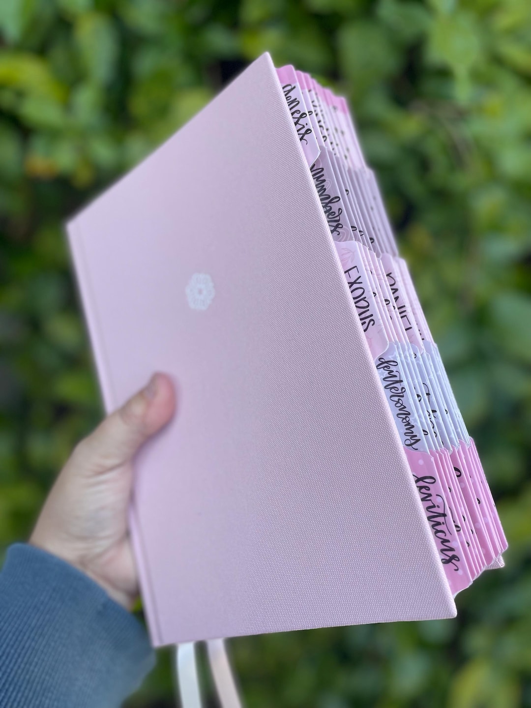 Pink NIV Women's Study Bible With Handlettered Tabs - Etsy