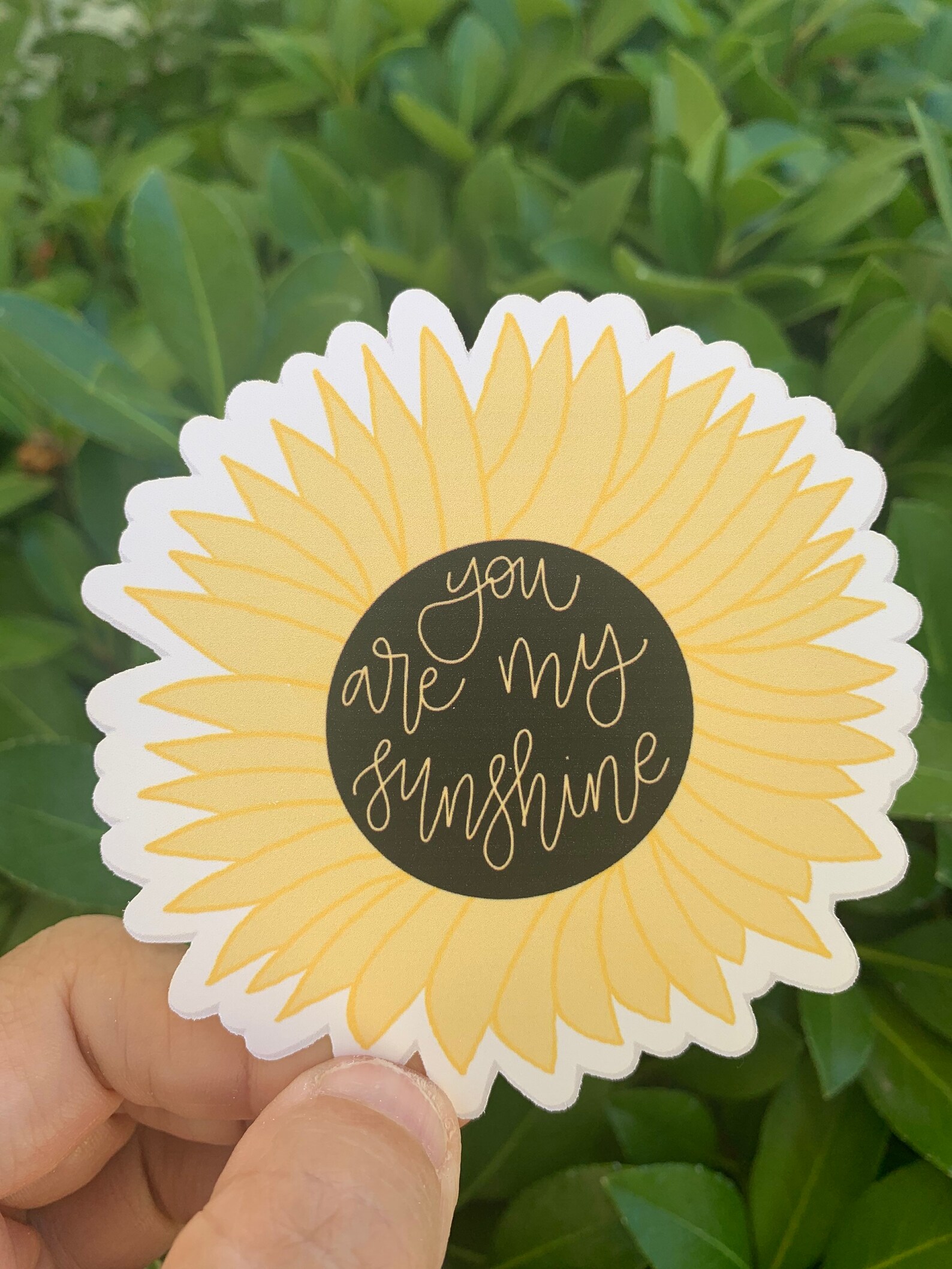 You Are My Sunshine Sunflower Sticker - Etsy