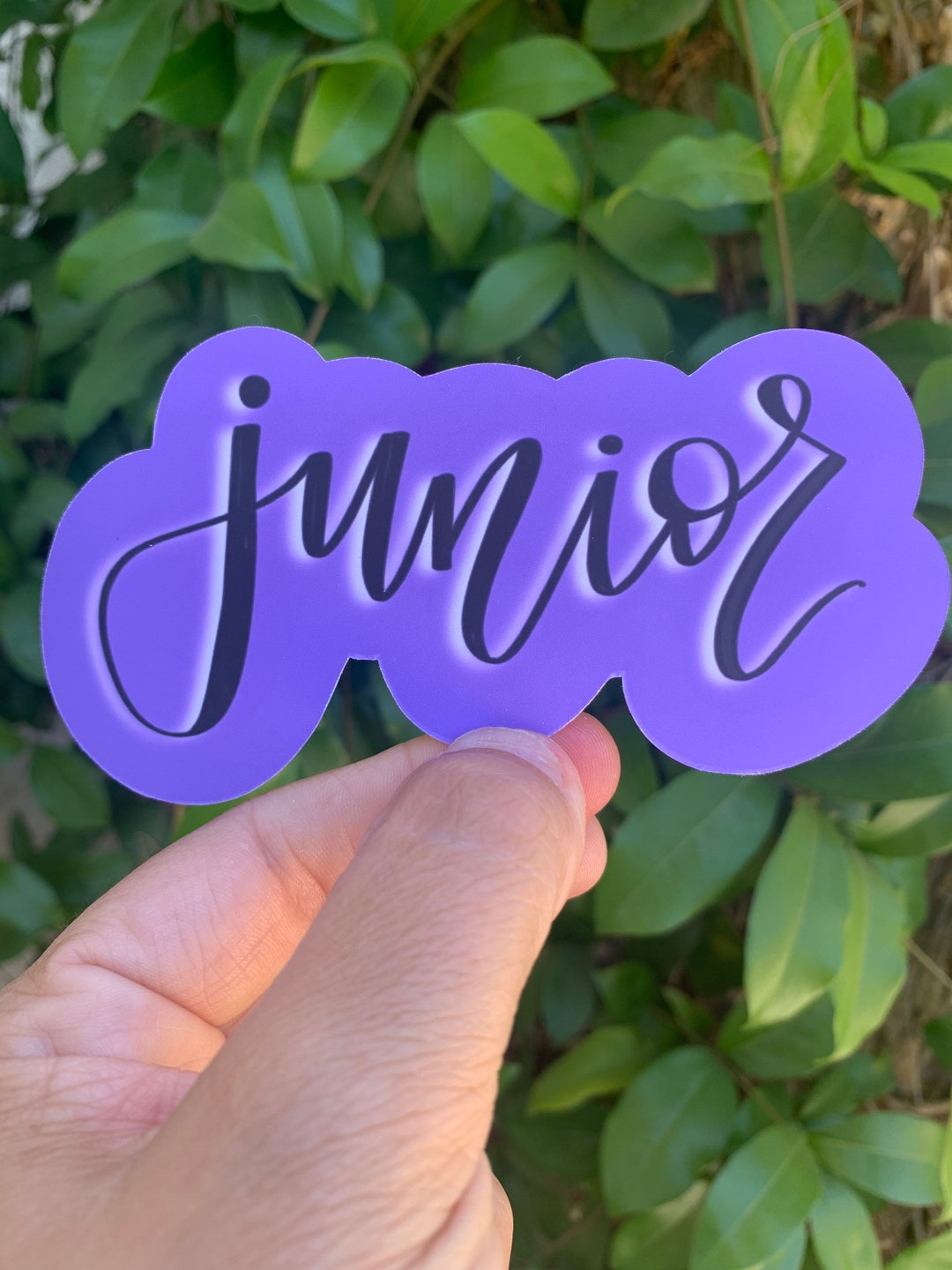 High School Sticker, Freshman, Sophomore, Junior or Senior - Etsy