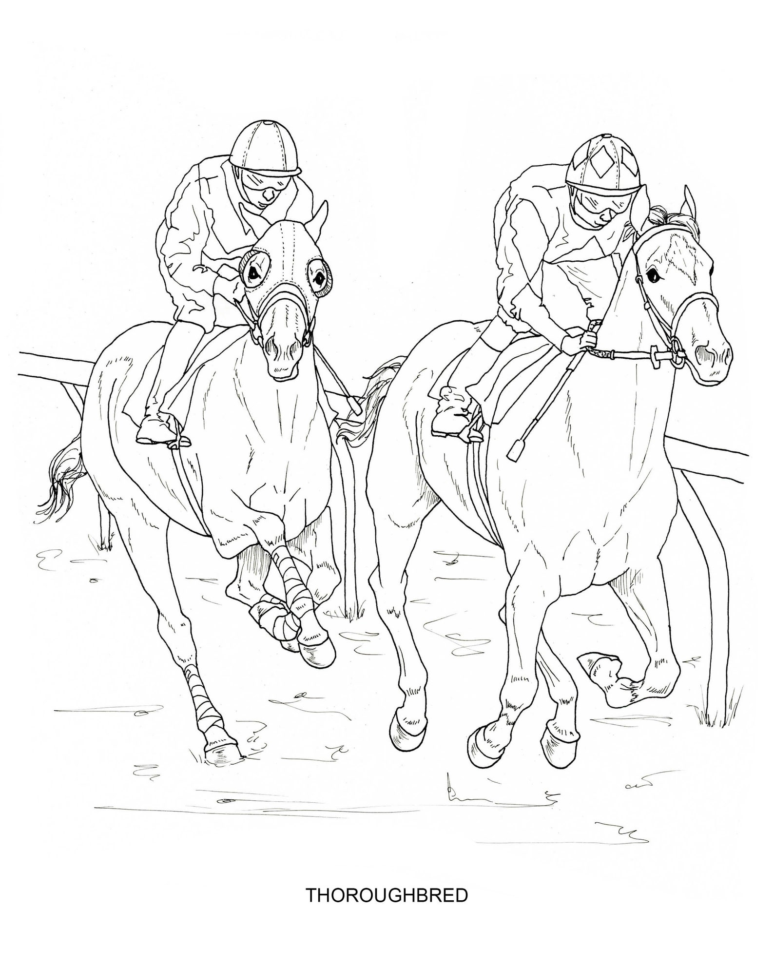 PRINTABLE Set of 10 Horse Breed Coloring Pages #2- Digital Download - Etsy