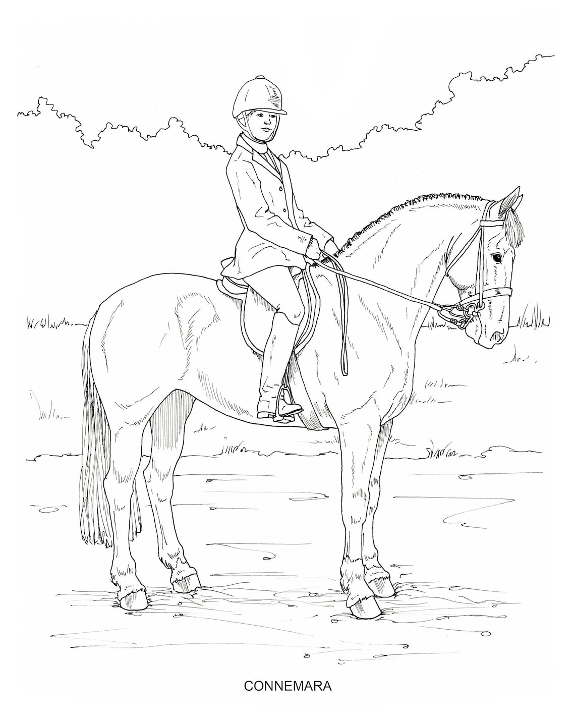 PRINTABLE Set of 10 Horse Breed Coloring Pages - Digital Download - Etsy
