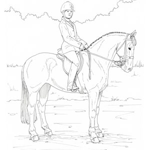 PRINTABLE Set of 10 Horse Breed Coloring Pages - Digital Download - Etsy