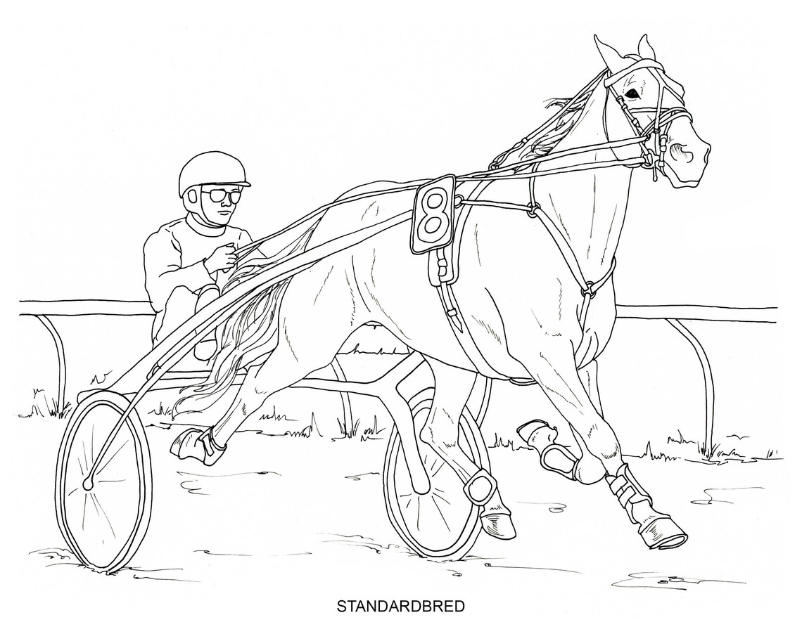 PRINTABLE Set of 10 Horse Breed Coloring Pages #2- Digital Download - Etsy