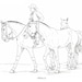 PRINTABLE Set of 10 Horse Breed Coloring Pages - Digital Download - Etsy
