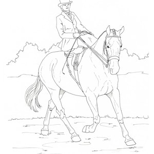PRINTABLE Set of 8 English Riding Coloring Pages - Digital Download - Etsy
