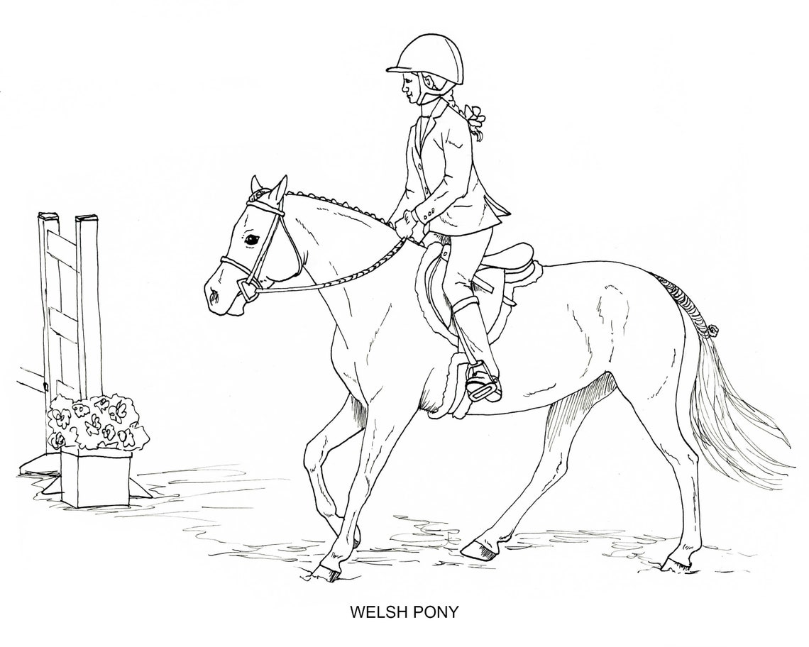 PRINTABLE Set of 10 Horse Breed Coloring Pages #2- Digital Download - Etsy