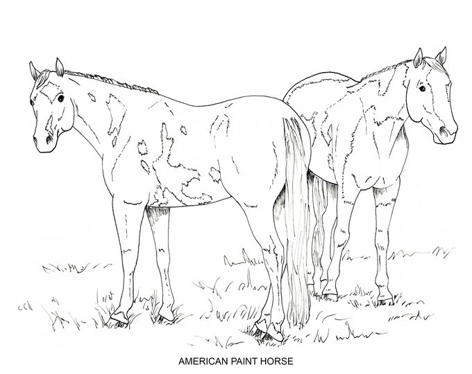 PRINTABLE Set of 10 Horse Breed Coloring Pages - Digital Download ...