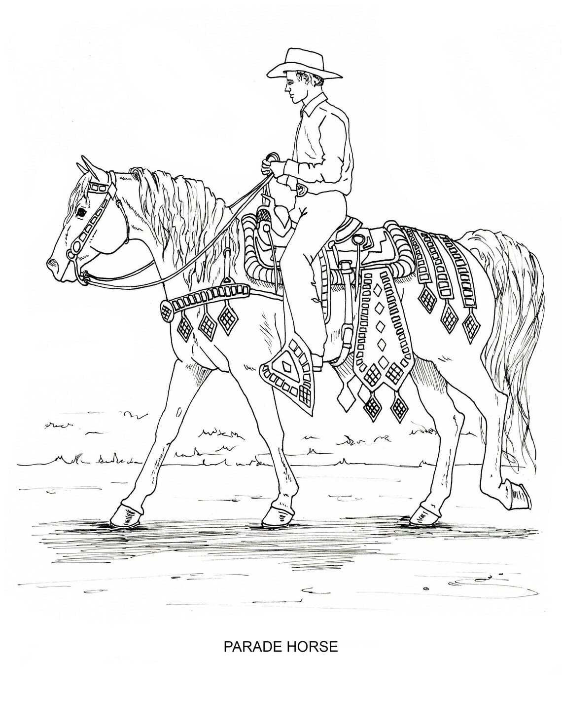 PRINTABLE Set of 10 Western Riding Coloring Pages Digital - Etsy