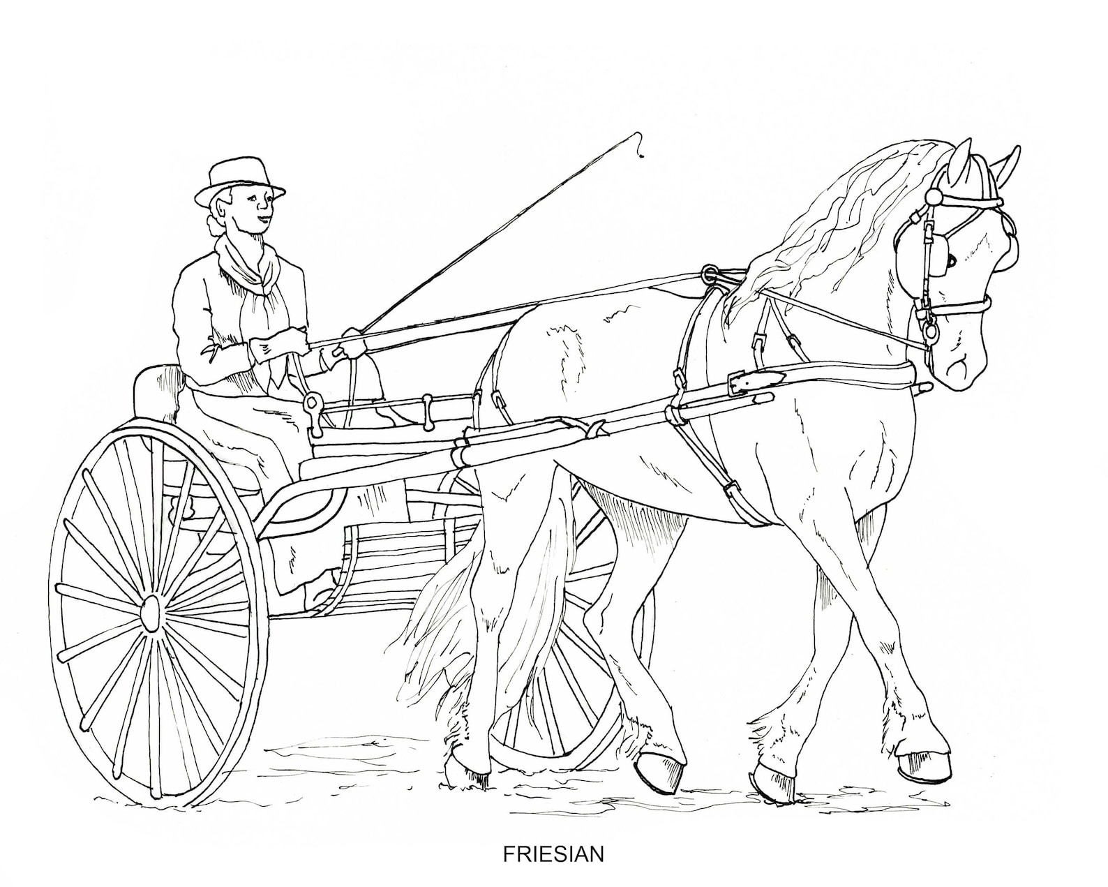 PRINTABLE Set of 10 Horse Breed Coloring Pages #2- Digital Download - Etsy