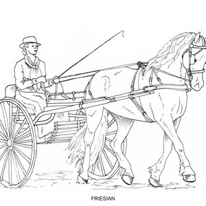 PRINTABLE Set of 10 Horse Breed Coloring Pages #2- Digital Download - Etsy