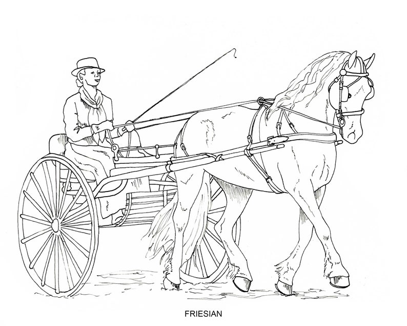 PRINTABLE Set of 10 Horse Breed Coloring Pages #2- Digital Download - Etsy