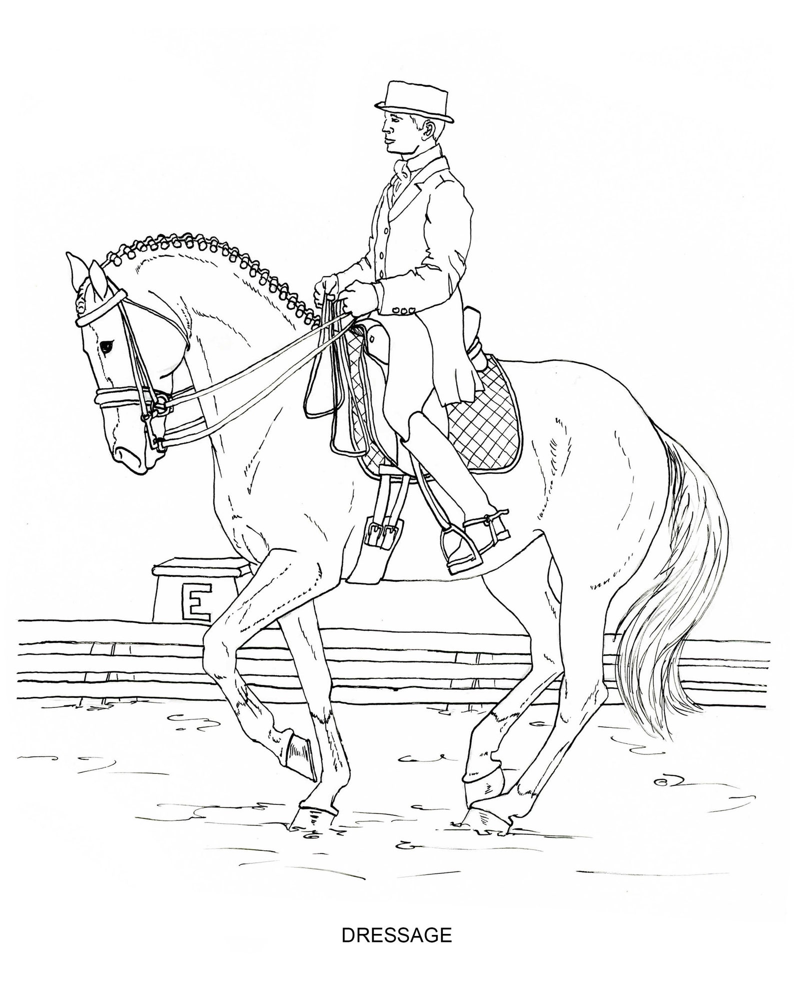 PRINTABLE Set of 8 English Riding Coloring Pages - Digital Download - Etsy