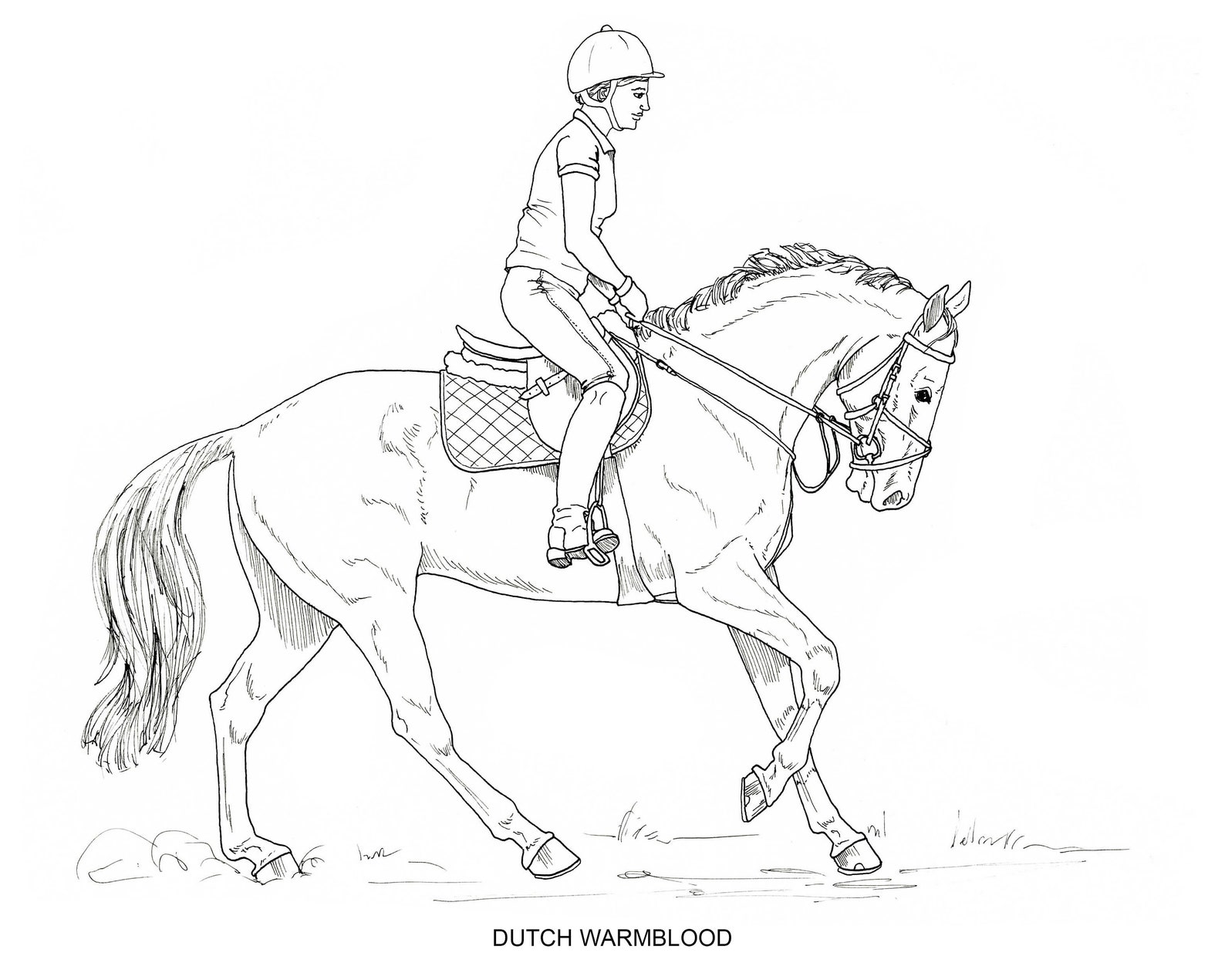 PRINTABLE Set of 10 Horse Breed Coloring Pages #2- Digital Download - Etsy