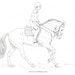 PRINTABLE Set of 10 Horse Breed Coloring Pages #2- Digital Download - Etsy