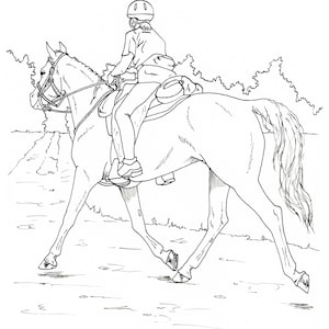 PRINTABLE Set of 8 English Riding Coloring Pages - Digital Download - Etsy