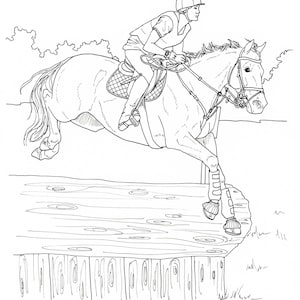 PRINTABLE Set of 8 English Riding Coloring Pages - Digital Download - Etsy