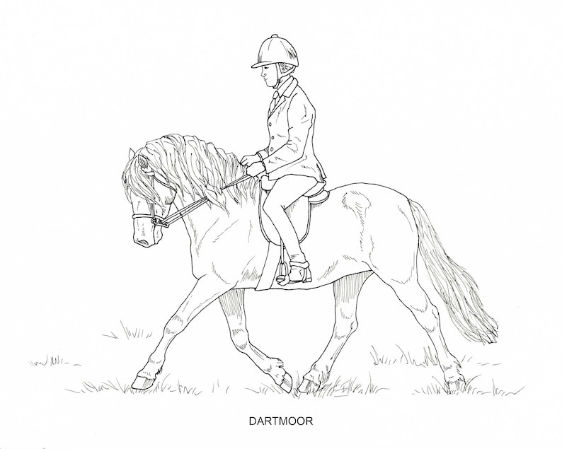 PRINTABLE Set of 10 Horse Breed Coloring Pages - Digital Download - Etsy