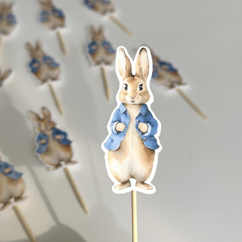 Peter Rabbit Cake Topper - Etsy
