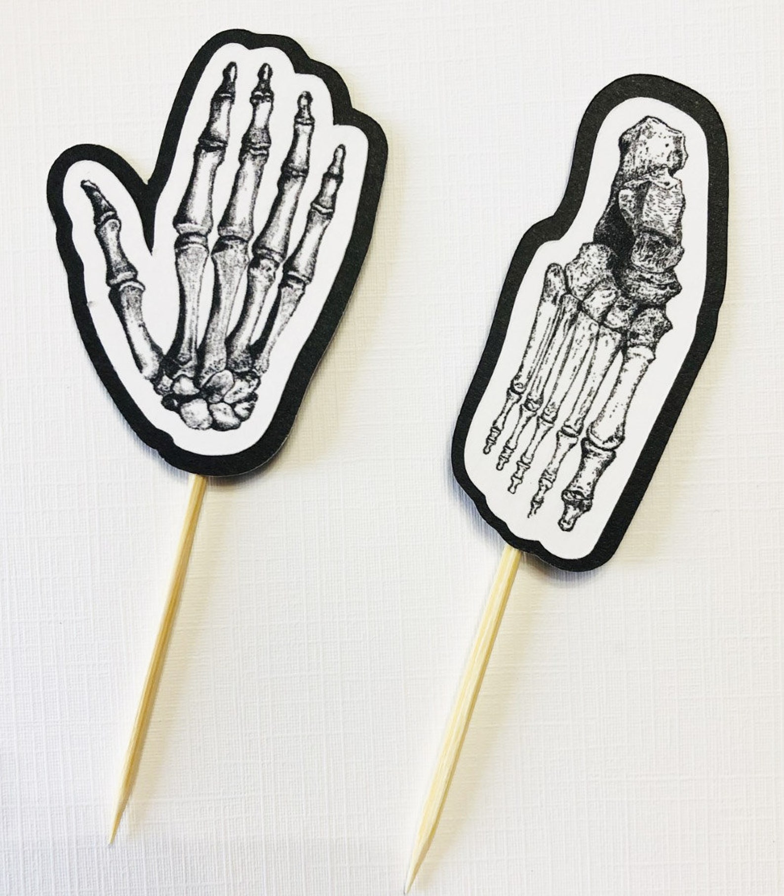 Xray Radiology Technician Skeleton Medical Imaging Bones Bone ...