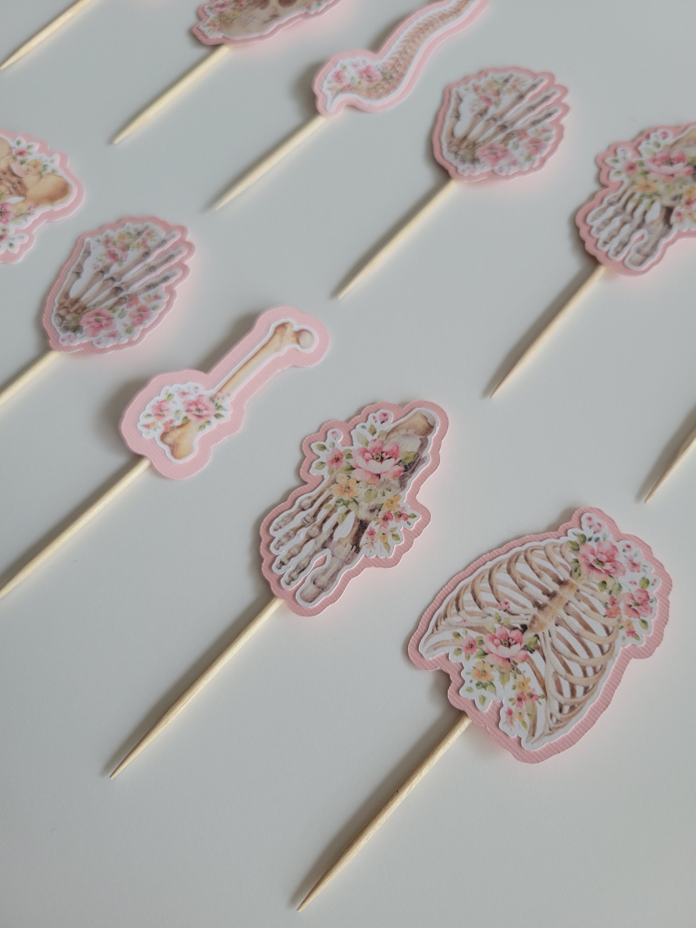 Xray Radiology Technician Skeleton Medical Imaging Bones Bone | Etsy