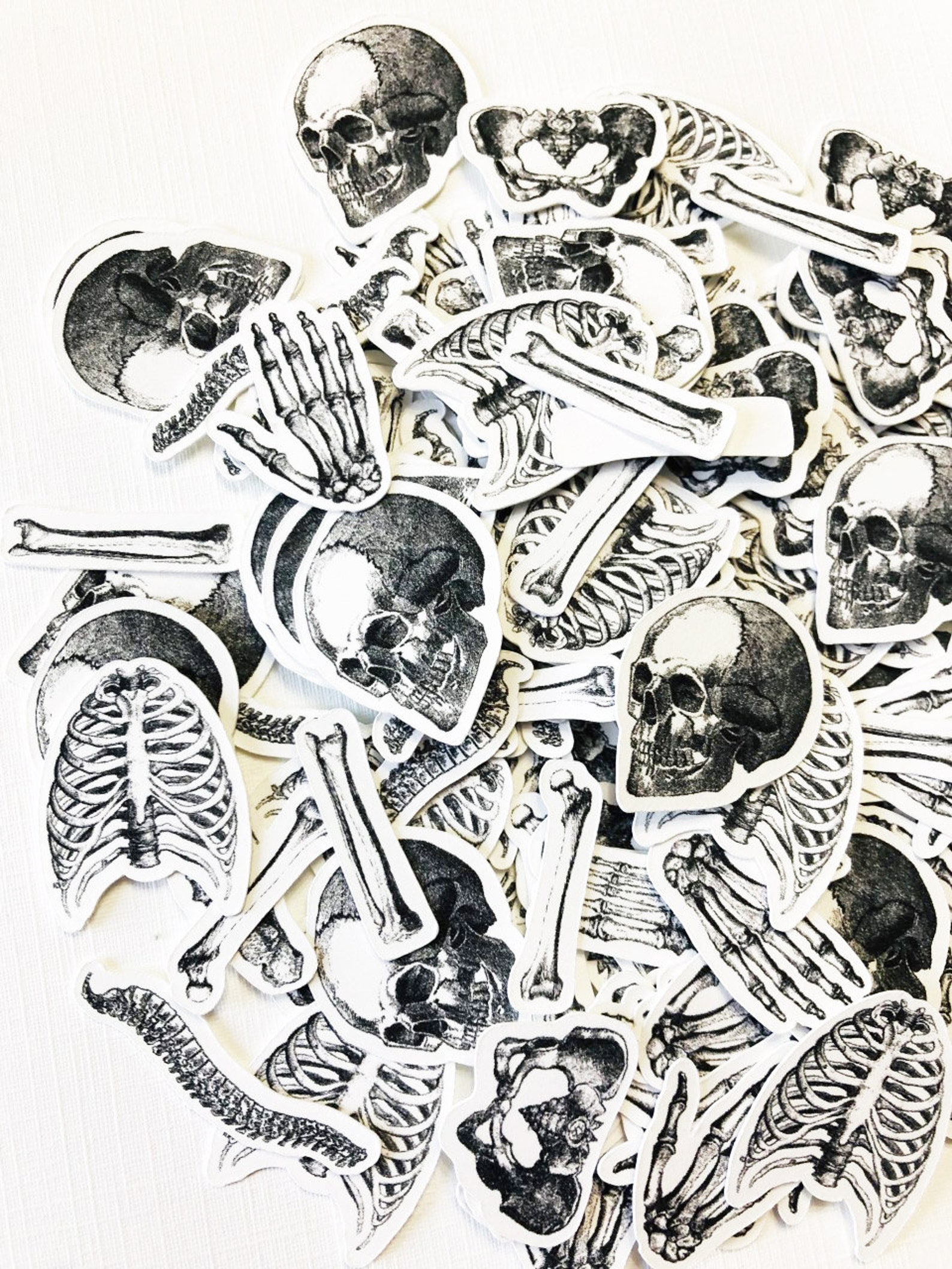 Xray Radiology Technician Skeleton Medical Imaging Bones Radiology Bone ...