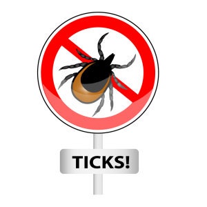 Natural Insect and Tick Defense Handmade by Shep's Naturals. Natural ...