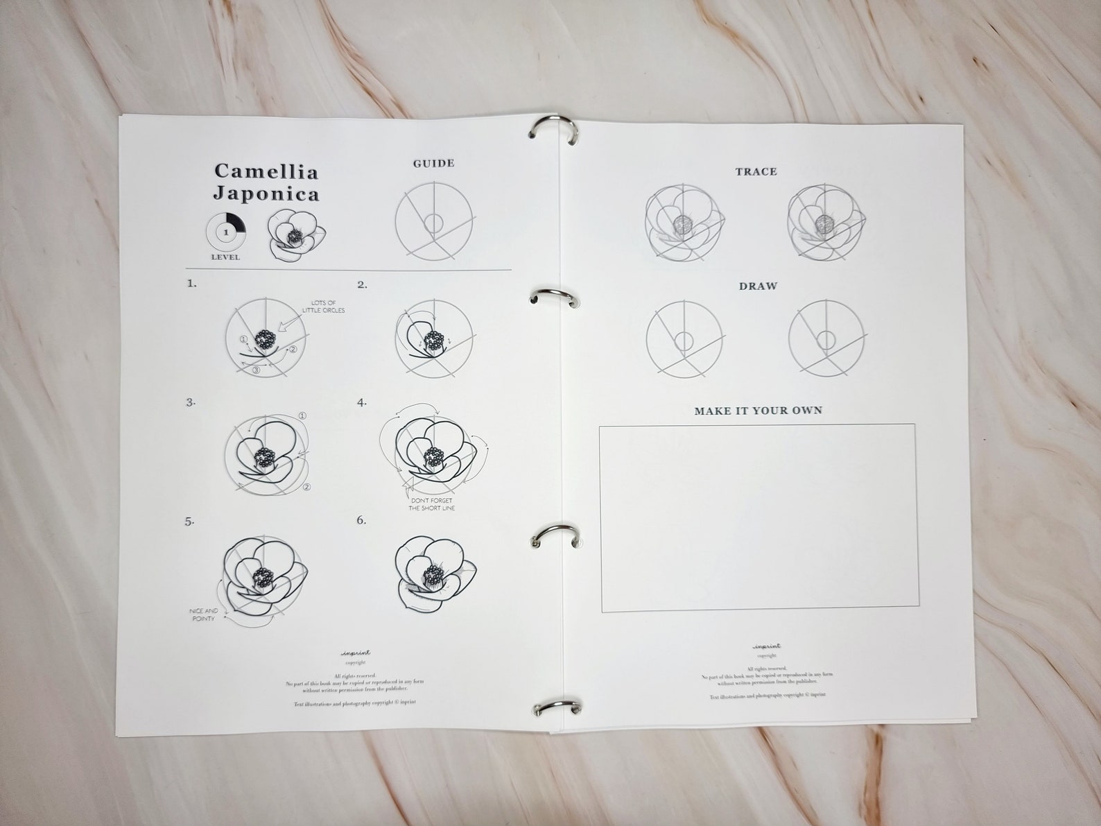 How to Draw Flowers From Side View Angles: A Printable Drawing Tutorial ...
