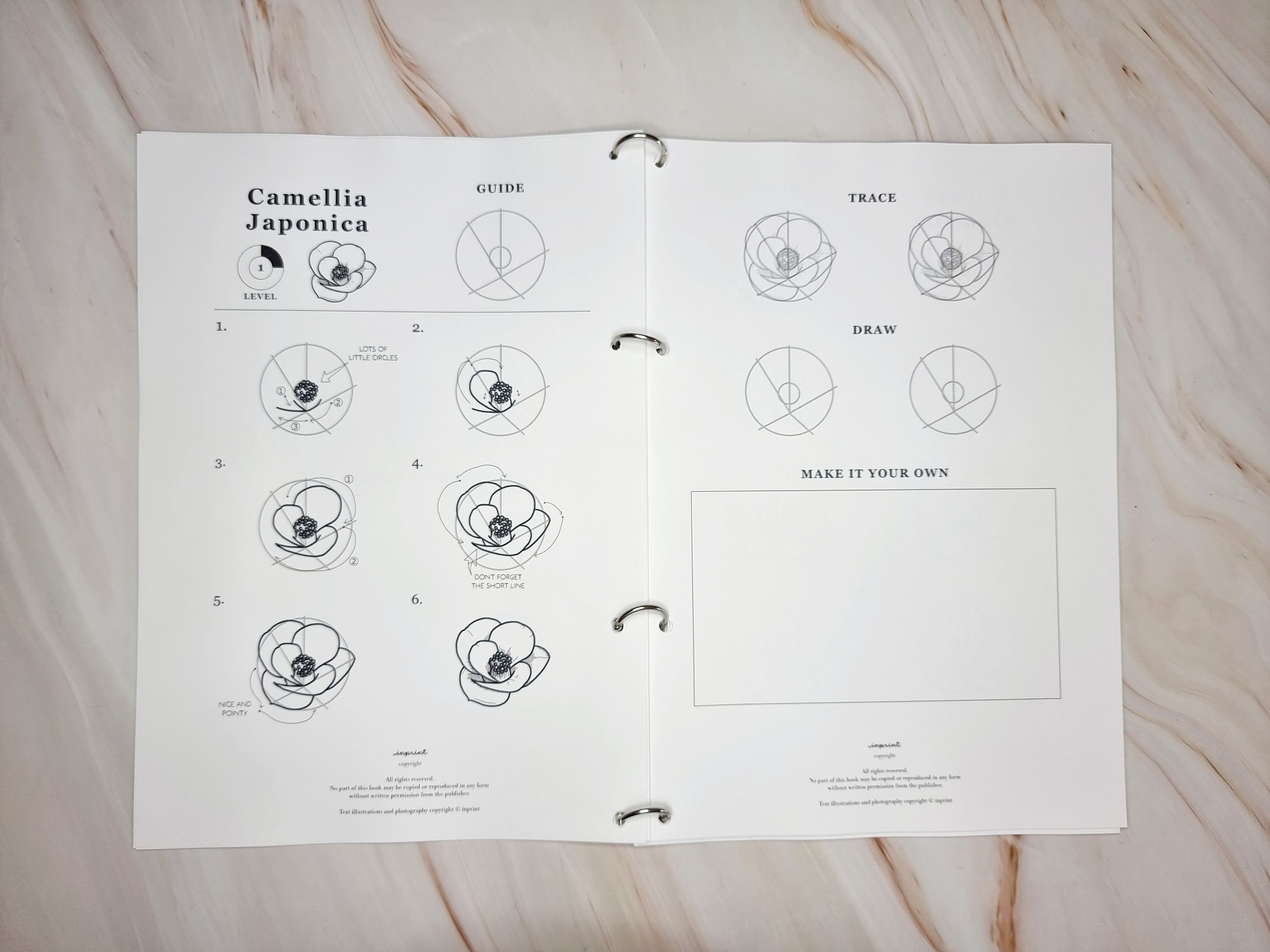 How to Draw Flowers From Side View Angles: A Printable Drawing Tutorial ...