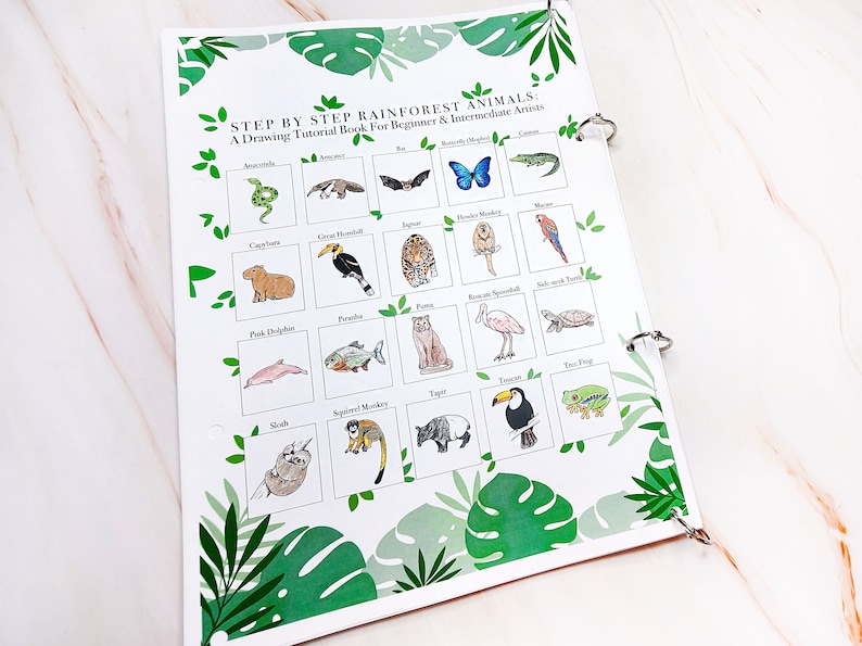 How to Draw Animals : Rainforest Edition | A Printable Drawing Tutorial ...