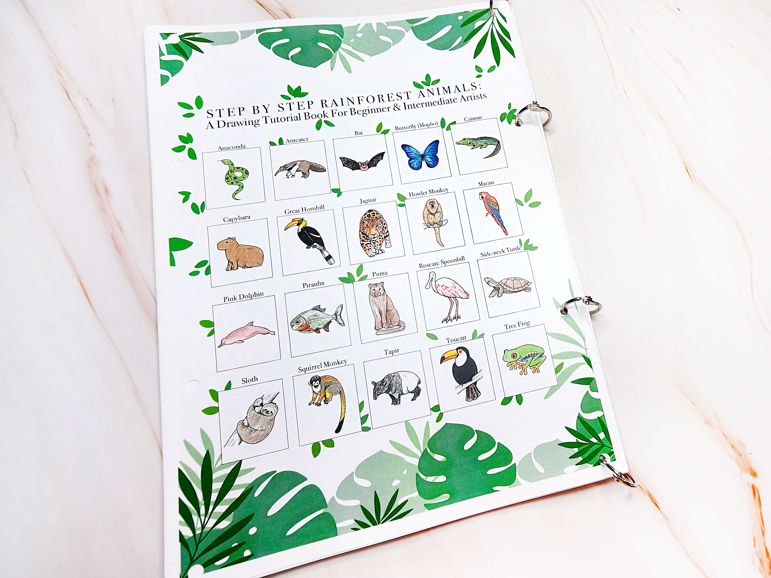 How to Draw Animals : Rainforest Edition | A Printable Drawing Tutorial ...