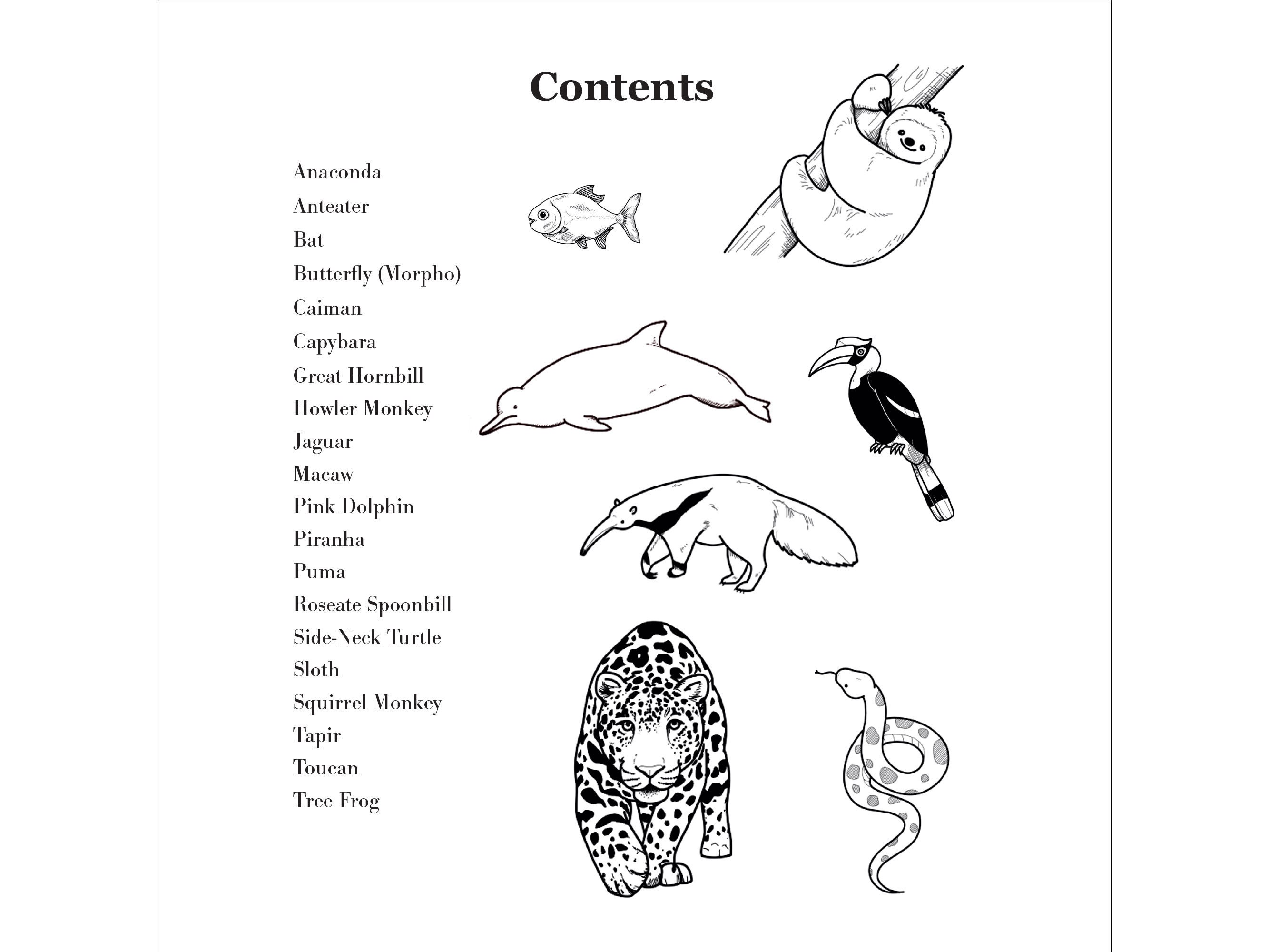 How to Draw Animals : Rainforest Edition | A Printable Drawing Tutorial ...