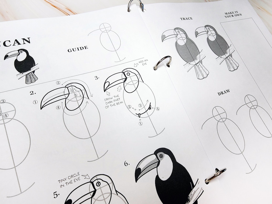 How to Draw Animals : Rainforest Edition | A Printable Drawing Tutorial ...