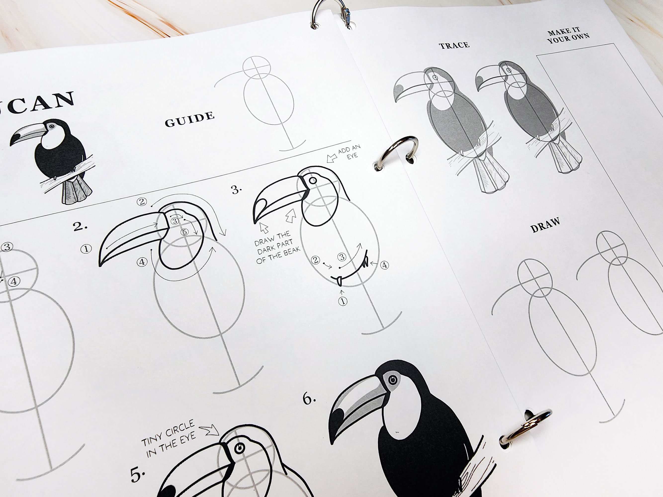 How to Draw Animals : Rainforest Edition | A Printable Drawing Tutorial ...