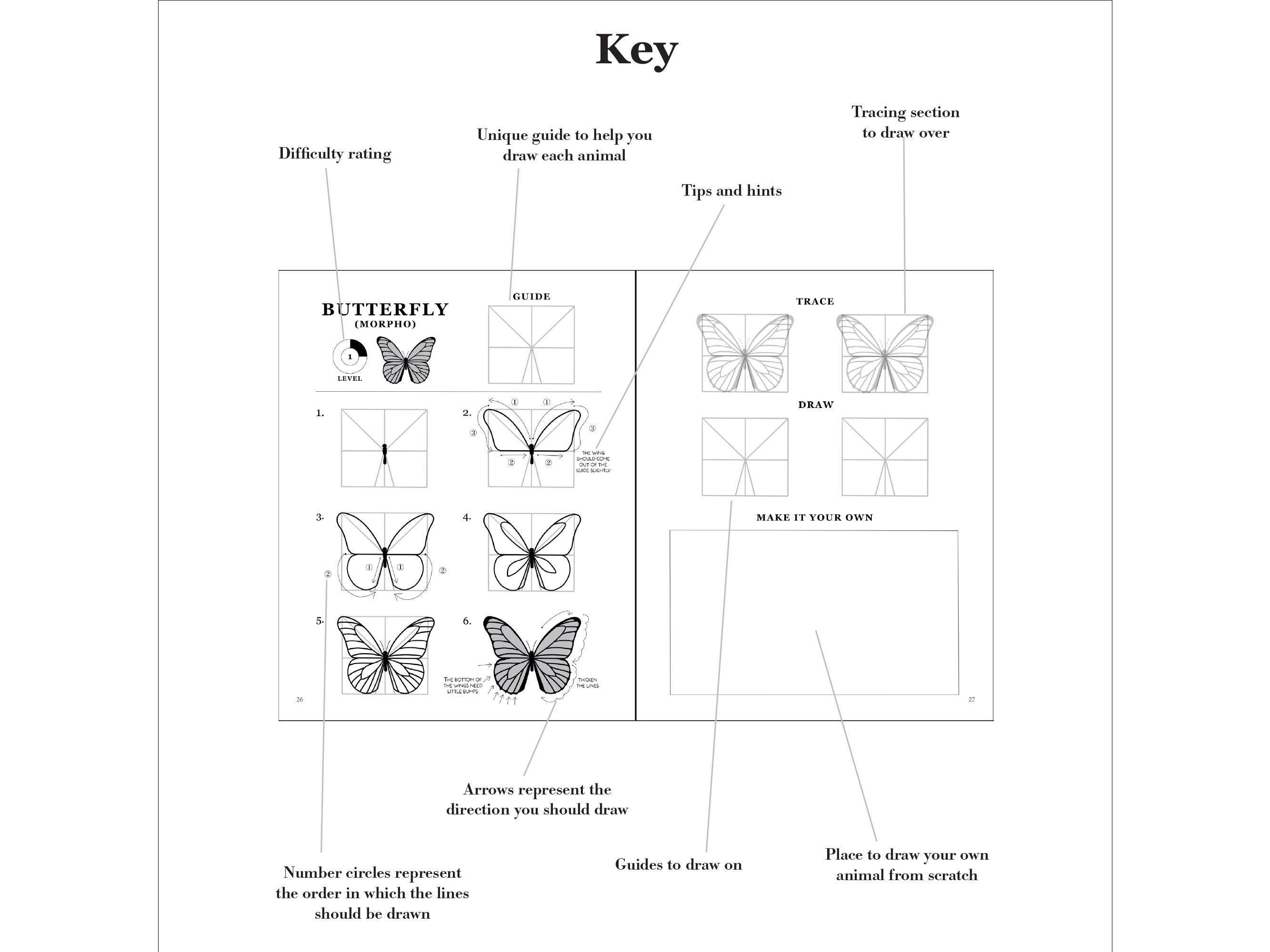 How to Draw Animals : Rainforest Edition | A Printable Drawing Tutorial ...