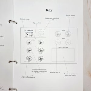 How to Draw Flowers From Side View Angles: A Printable Drawing Tutorial ...
