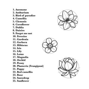 How to Draw Flowers, 25 Step-by-step Drawing Tutorials With Written ...
