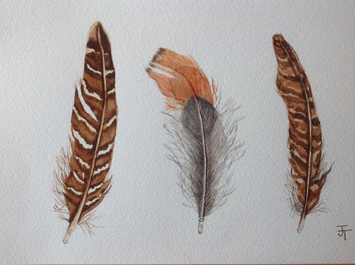 An Original Watercolour Painting of Three Pheasant Feathers - Etsy UK