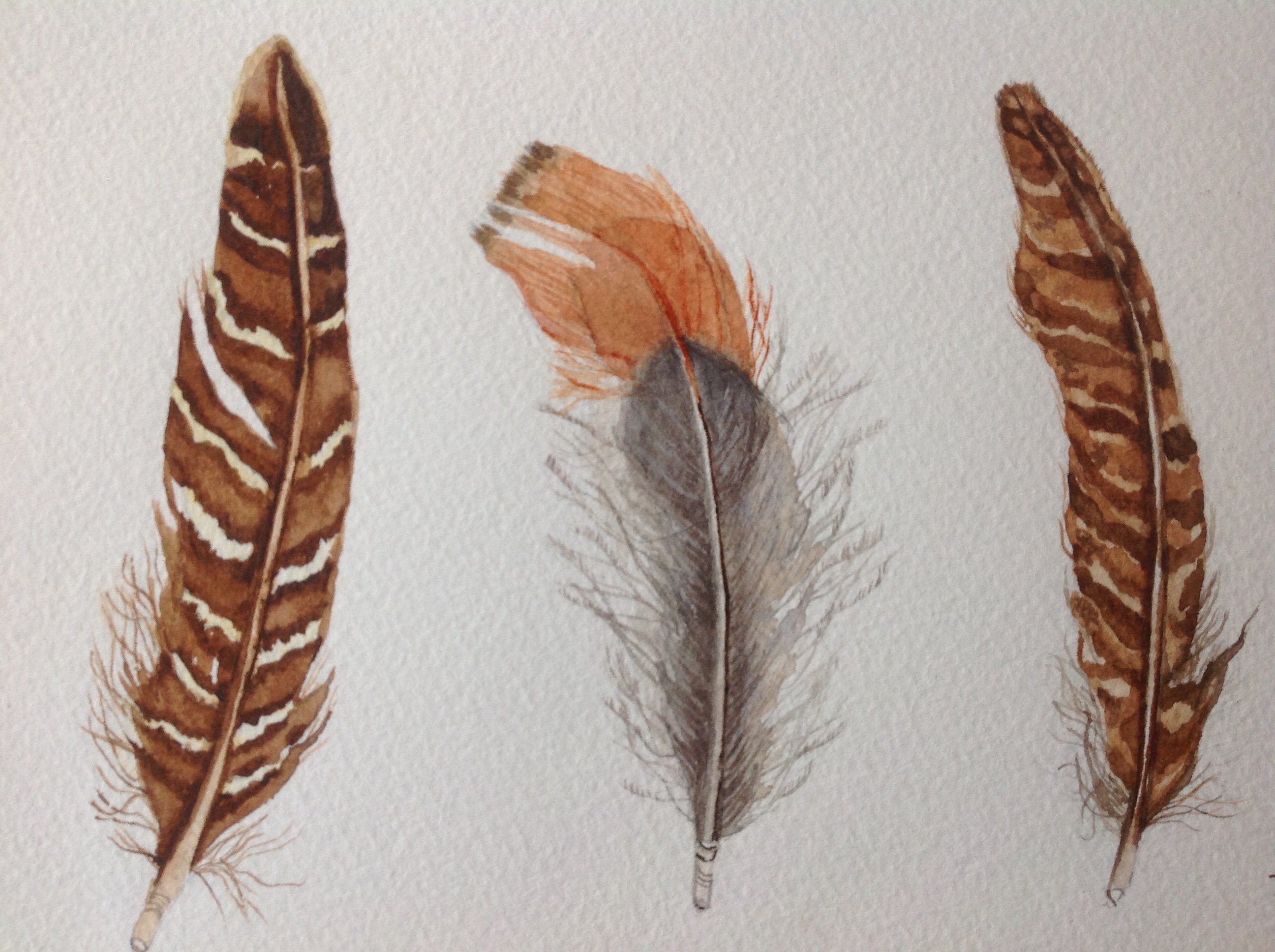 An Original Watercolour Painting of Three Pheasant Feathers - Etsy UK