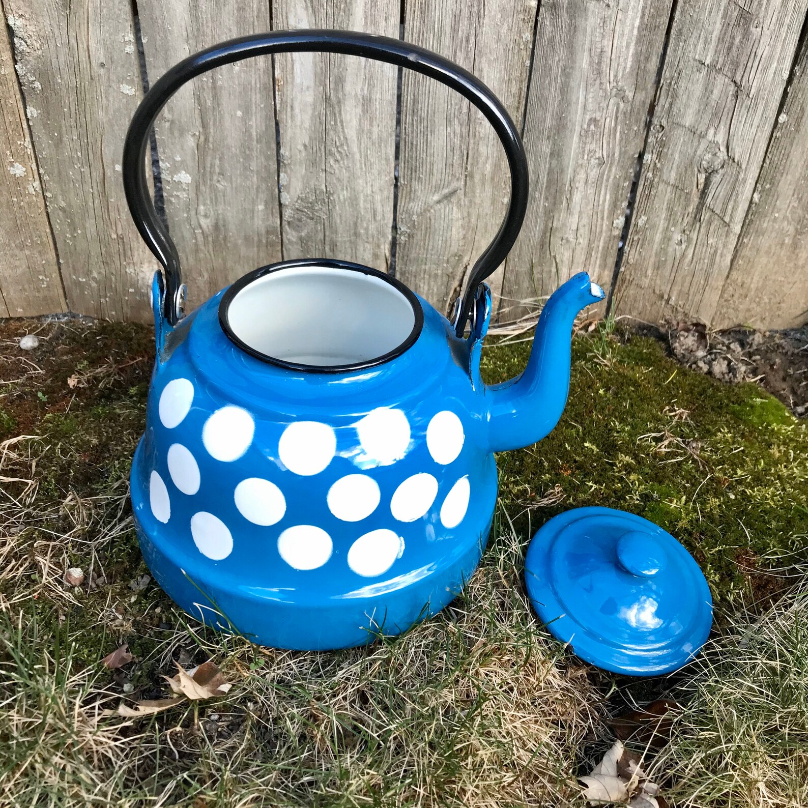 Vintage Blue Polka Dot Enamelware Tea Pot Teapot | Etsy