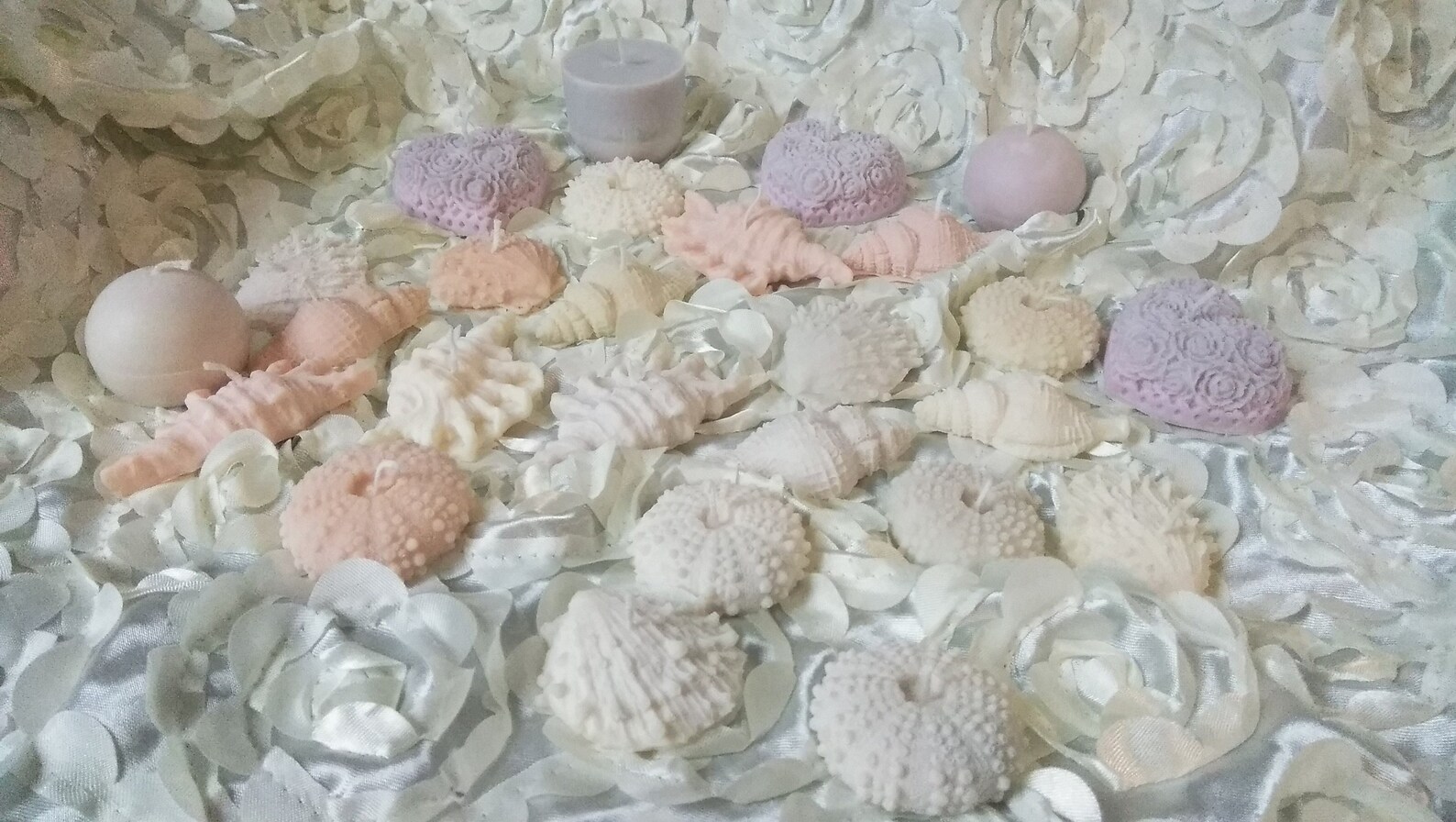 Seashell Tealight Candles: Realistic Floating Sea Shells, Ocean Home ...